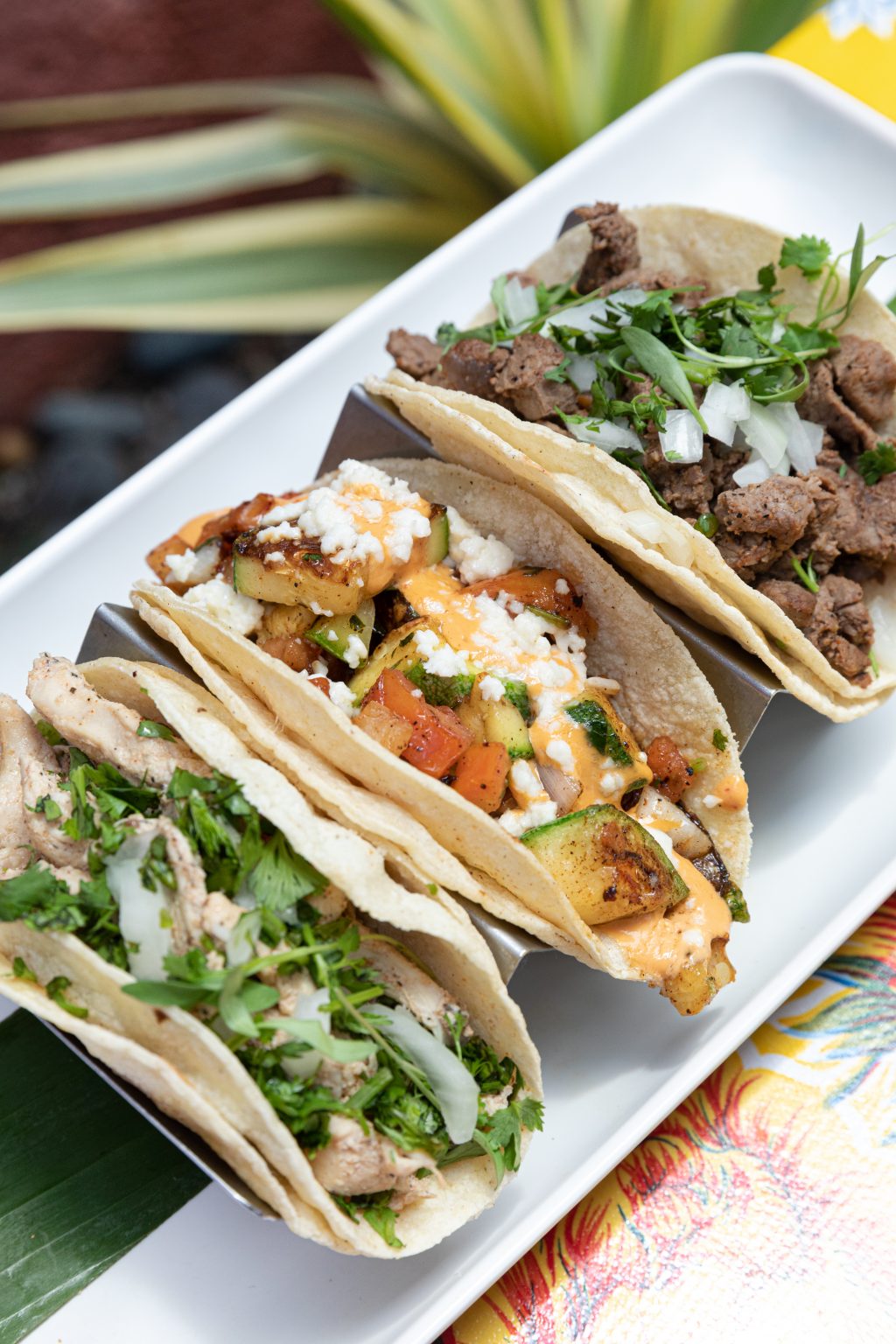 Taco Tuesday - Lolas Mexican Cuisine